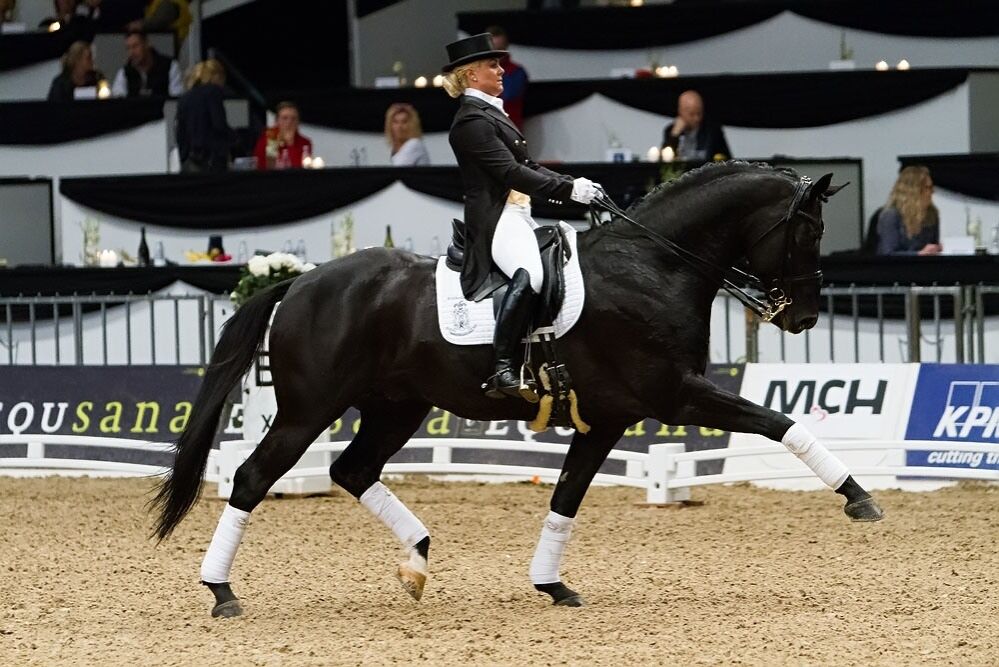 Anna og Detroit Europas 5. bedste - Nyheder - Heste-Nettet.dk