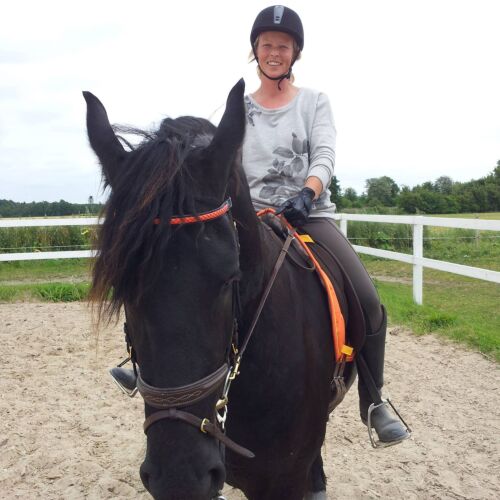 Sorte heste med brunt udstyr? - Opslag, billeder og video - Heste-Nettet.dk