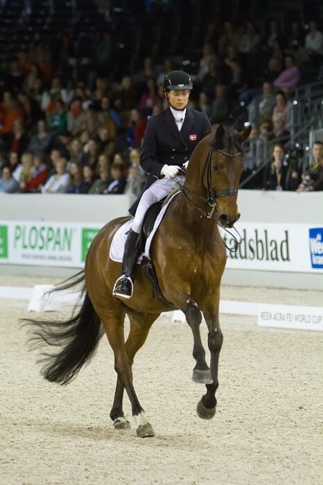 Ryttere til start ved internationale stævner - Nyheder - Heste-Nettet.dk