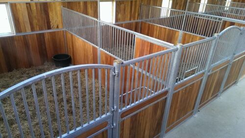 Jubiii - NY STALD - Opslag, billeder og video - Heste-Nettet.dk