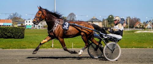 Billder fra Charlottenlund Travbane - Opslag, billeder og video - Heste ...