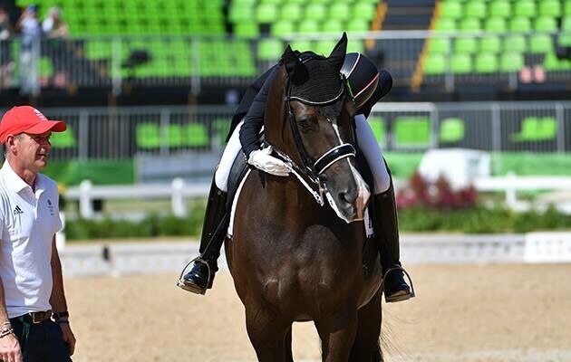 Video hyldest til Valegro! - Nyheder - Heste-Nettet.dk