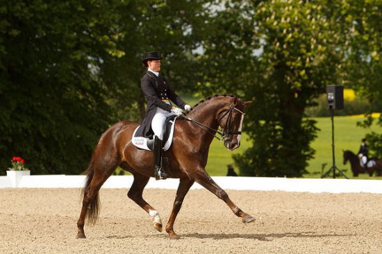 De danske ryttere suveræne ved EM - Nyheder - Heste-Nettet.dk