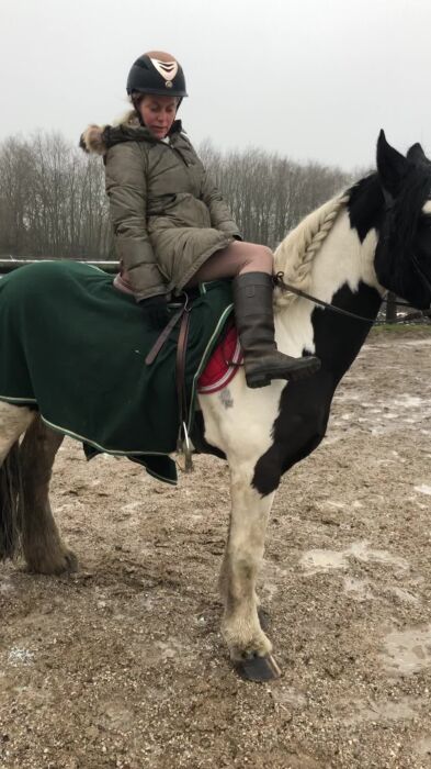 Hest til salg: Jackson - Nobbe (208333201107285) - sporty tinker ...