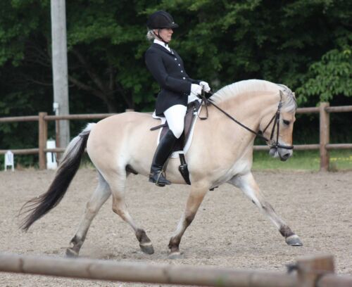 Voksen rytter på fjordhest.. - Hyggesnak - Heste-Nettet.dk