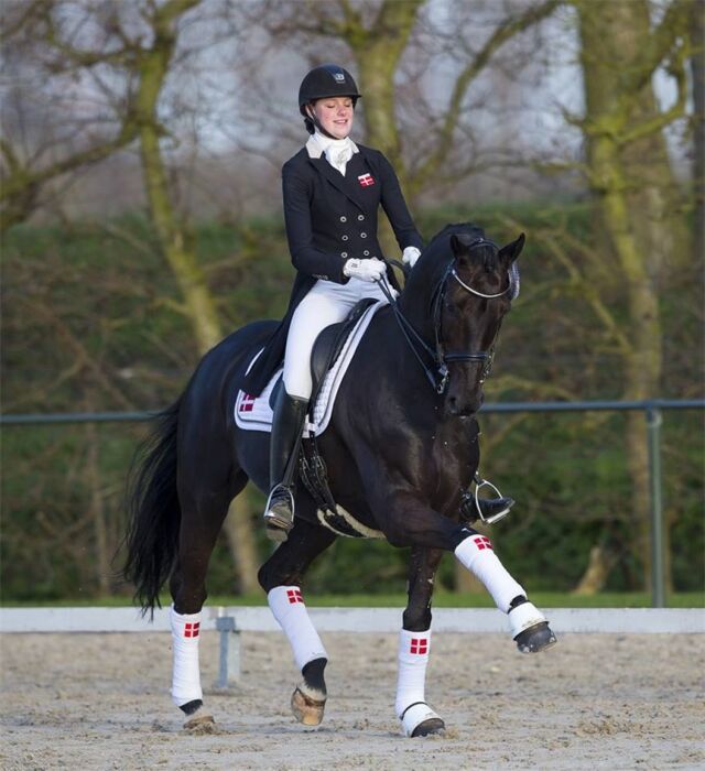 U25 DM guld til Sille Engermann - Nyheder - Heste-Nettet.dk