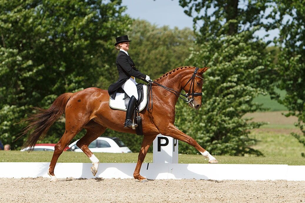Anna Zibrandtsen i spidsen for DRF-mesterskabet i dressur for juniorer ...