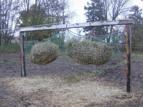 En slags høhæk på fold, Hjælp! - Hesteejendomme - Heste-Nettet.dk