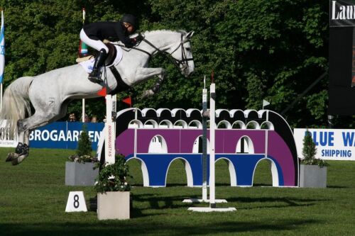 Andreas + springere i parken - Opslag, billeder og video - Heste-Nettet.dk