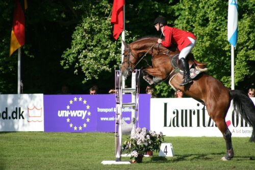 Andreas + springere i parken - Opslag, billeder og video - Heste-Nettet.dk