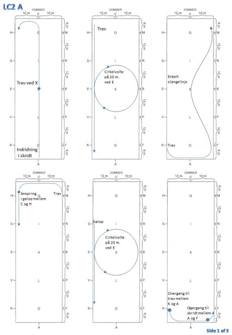 LC2 tegnet - Træning - Heste-Nettet.dk