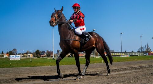 Billder fra Charlottenlund Travbane - Opslag, billeder og video - Heste ...