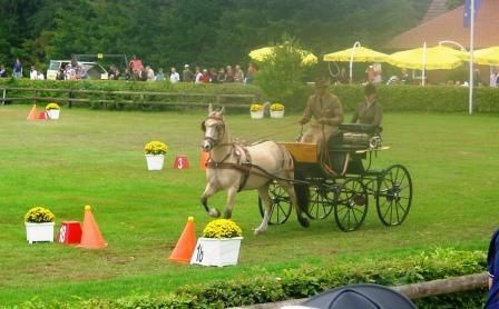 VM i kørsel med pony og vogn - Nyheder - Heste-Nettet.dk