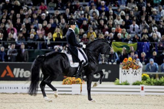 Stor ståhej om den sorte hingst - Nyheder - Heste-Nettet.dk