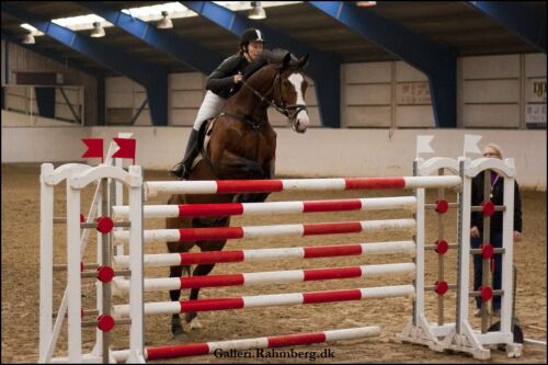 Lad os se heste der springer højt - Opslag, billeder og video - Heste ...