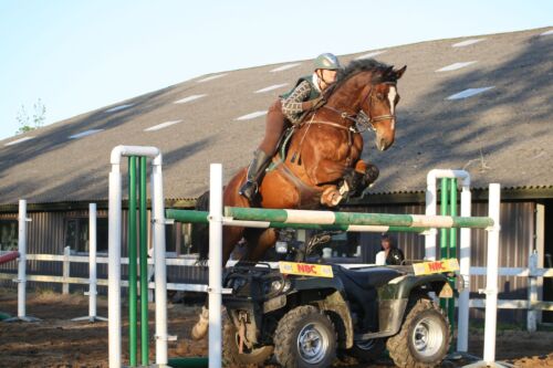 Springbilleder - Vis ET - Opslag, billeder og video - Heste-Nettet.dk
