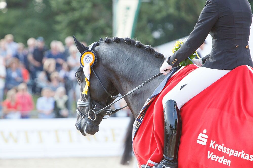 Årets Hingst i Herning - Nyheder - Heste-Nettet.dk