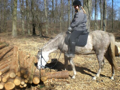 hvad spiser din hest??? - Hyggesnak - Heste-Nettet.dk