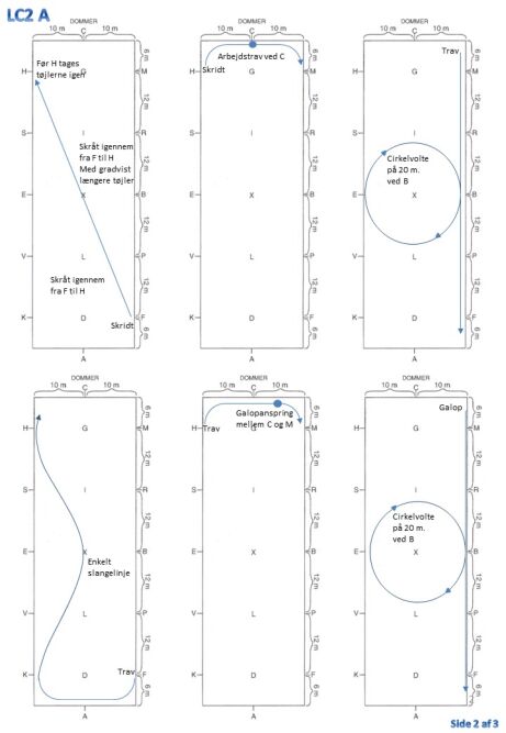 LC2 tegnet - Træning - Heste-Nettet.dk