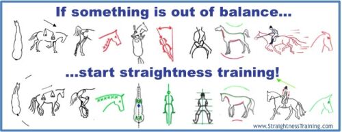 3320 Straightness Training kursus - Brugernes Arrangementer - Heste ...