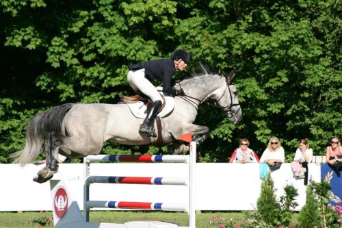 Andreas + springere i parken - Opslag, billeder og video - Heste-Nettet.dk