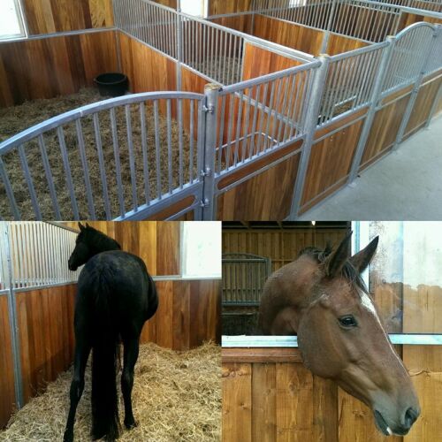 Jubiii - NY STALD - Opslag, billeder og video - Heste-Nettet.dk