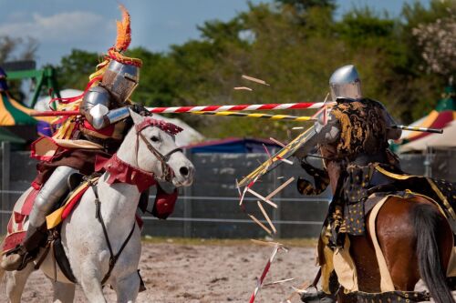 Europamesterskabet i Ridderdyst på Spøttrup Borg 2012 - Nyheder - Heste ...