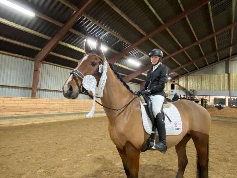 Hest til salg: Sir Toby (HST 165650) - Skøn, smuk og rolig hest sælges - Heste-Nettet.dk