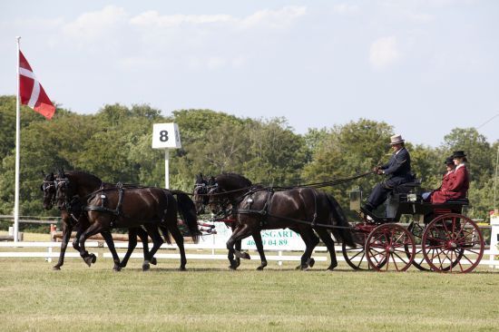 Lars Dau topplaceret til DM - Nyheder - Heste-Nettet.dk