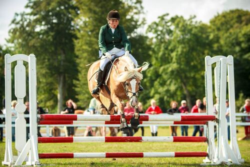 stævnefoto og grimasser - Opslag, billeder og video - Heste-Nettet.dk