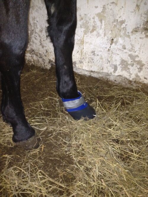 Gode råd til at holde en 'Gaffa-fod' tør - Røgt og pleje - Heste-Nettet.dk