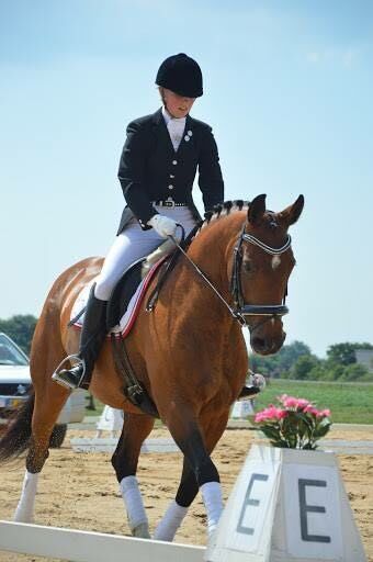 Hest til salg: Mon Cherie (208333200609502) - Fantastisk allround ...