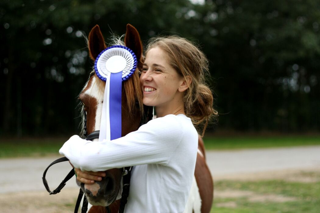 Blade (HST 157407) - Heste-Nettet.dk